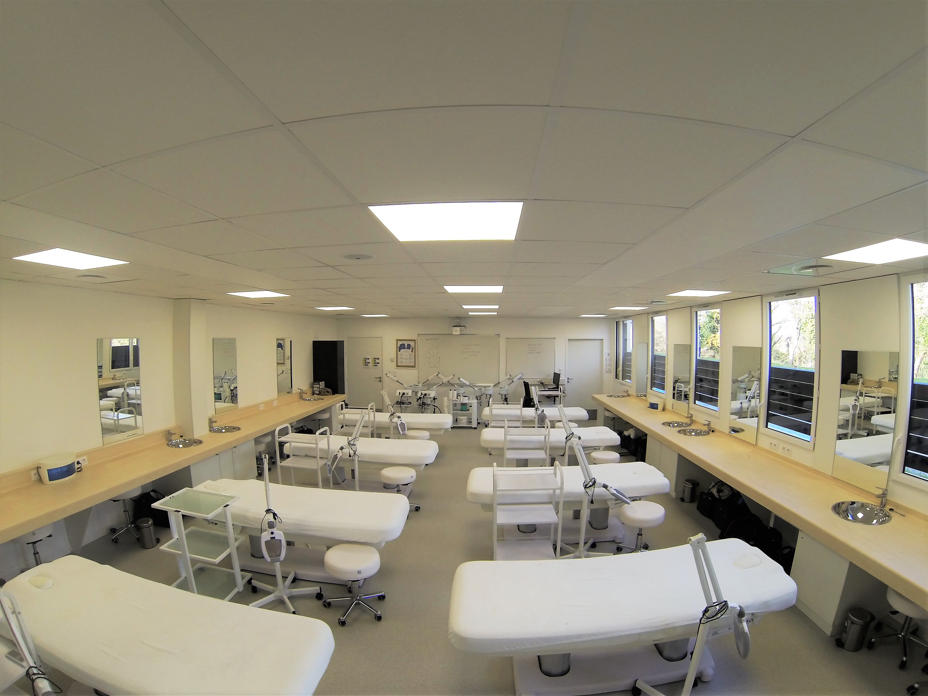 BAC PRO Esthétique Cosmétique Parfumerie - Lycée Alphonse Pellé