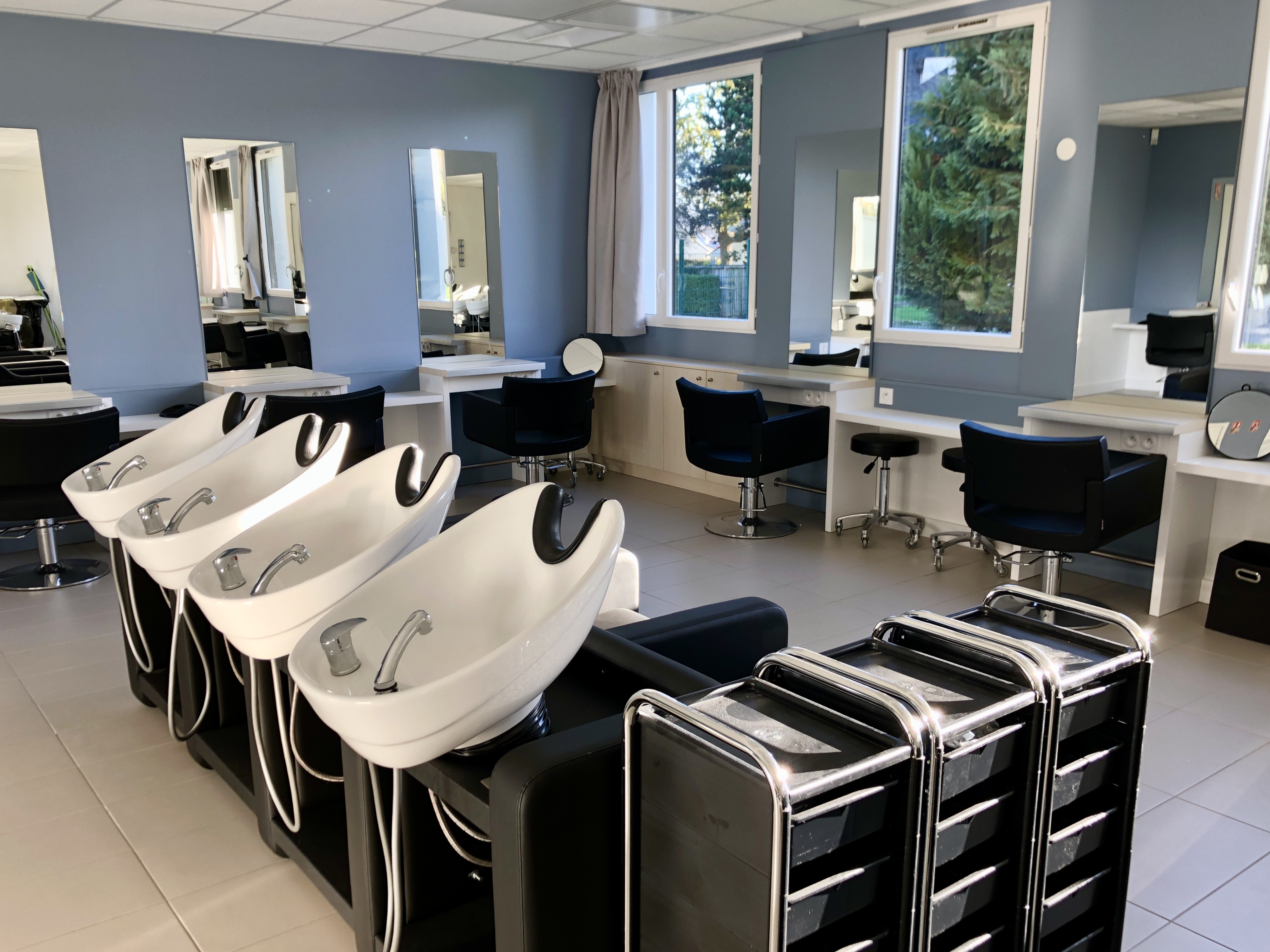 BAC PRO Coiffure - Lycée Alphonse Pellé